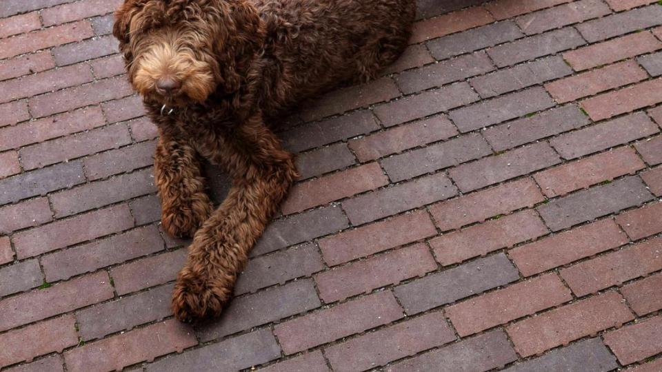 Passaqua waterpasserende kleiklinker krijgt retro-zus | Exterio